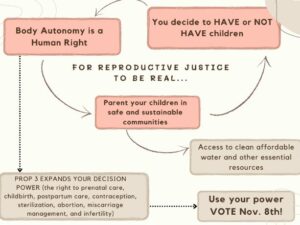 Human Rights – Reproductive Justice | Wisdom Institute